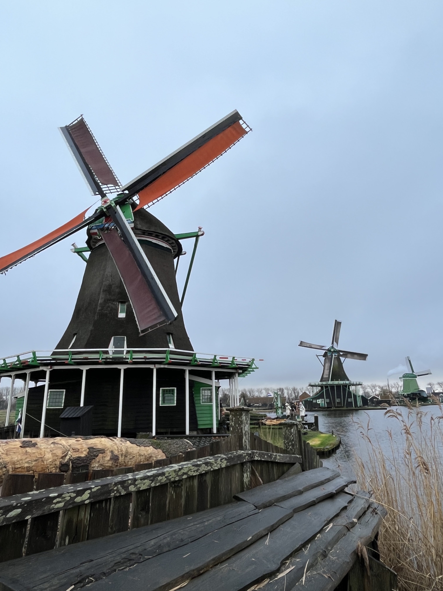 子どもの幸福度1位の国、オランダへ行ってきました | あべの区子育て情報 codomoto.jp